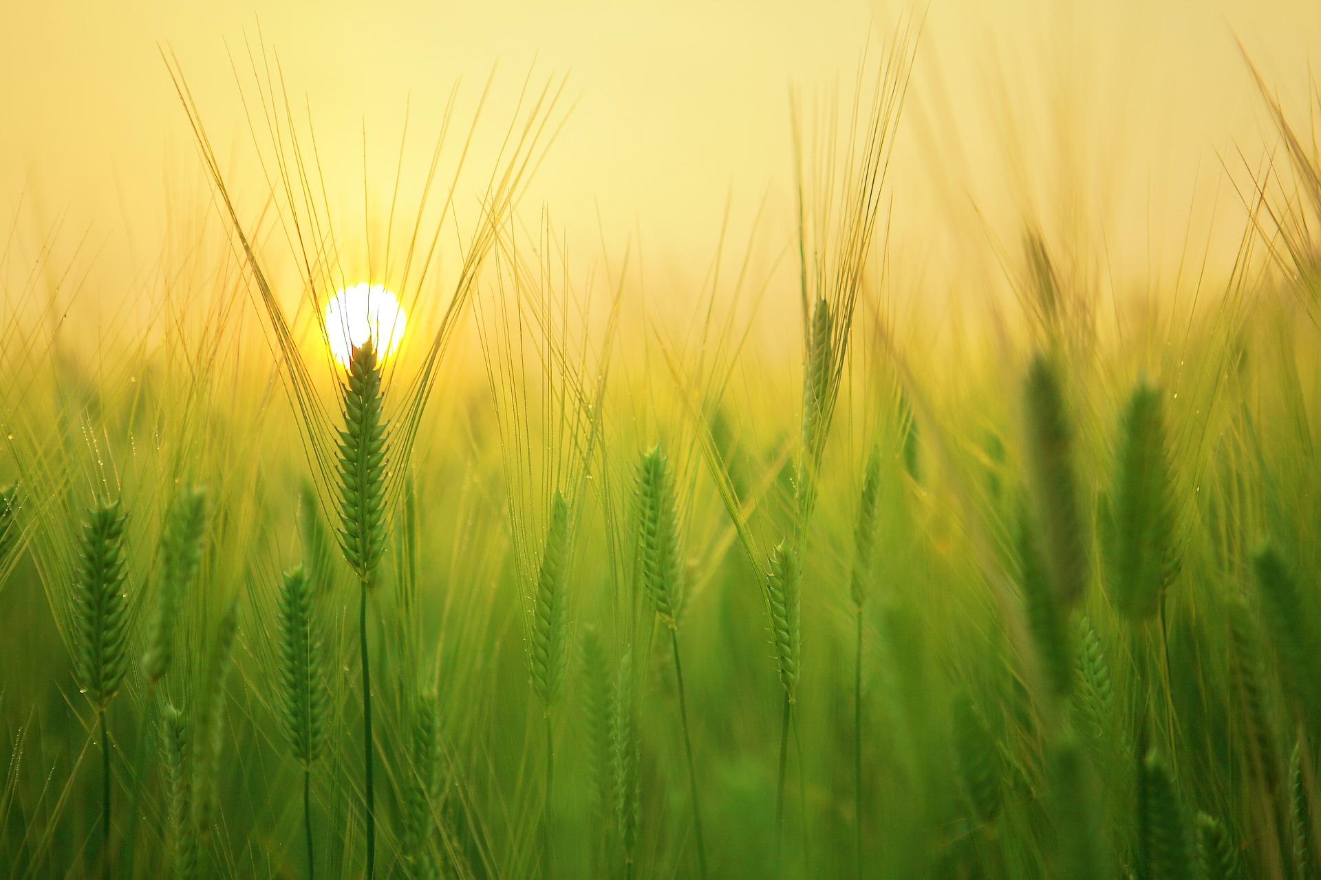 The Next Frontier: Where the 2025 Farm Bill Stands—and What It Means ...